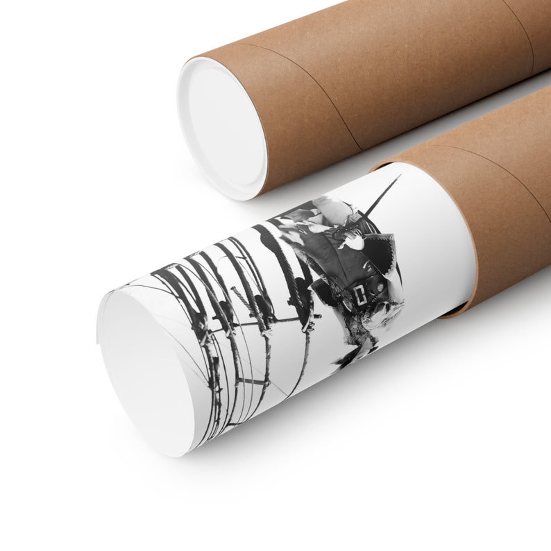 Bebe Daniels Premium Matte Posters Captain Kidd's Kids Swashbuckler Pirate Lady Pirate Silent ...