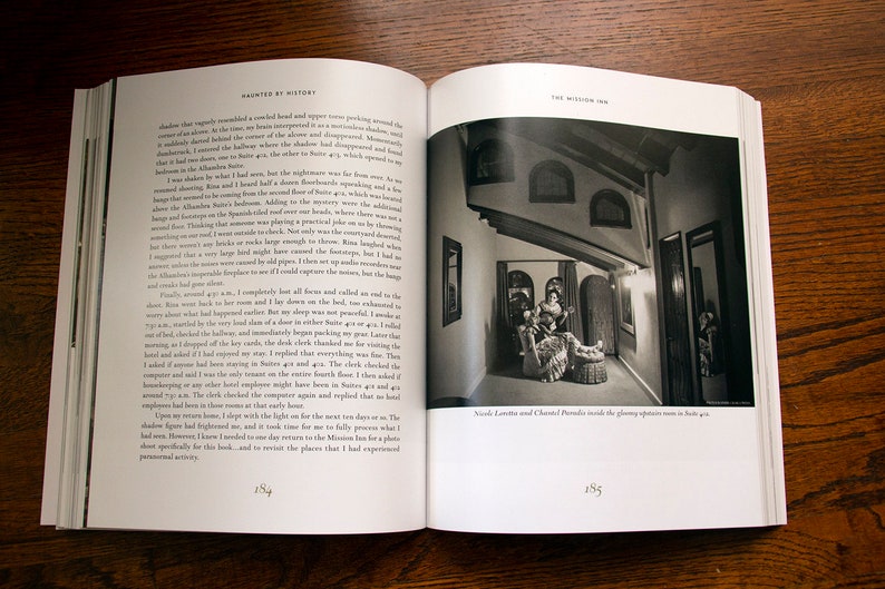 Haunted by History Vol. 1 by Craig Owens (first Edition / Softback) - Etsy