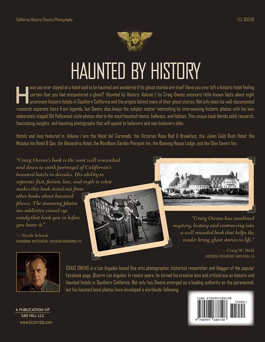Haunted by History Vol. 1 by Craig Owens (first Edition / Softback) - Etsy