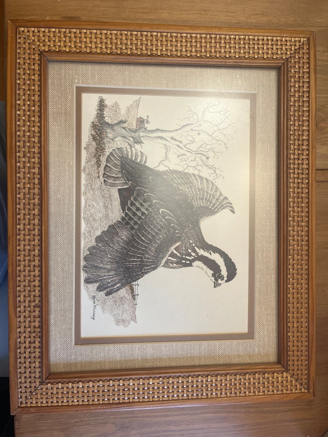 Gene Murray Pen and Ink Bird Signed - Etsy