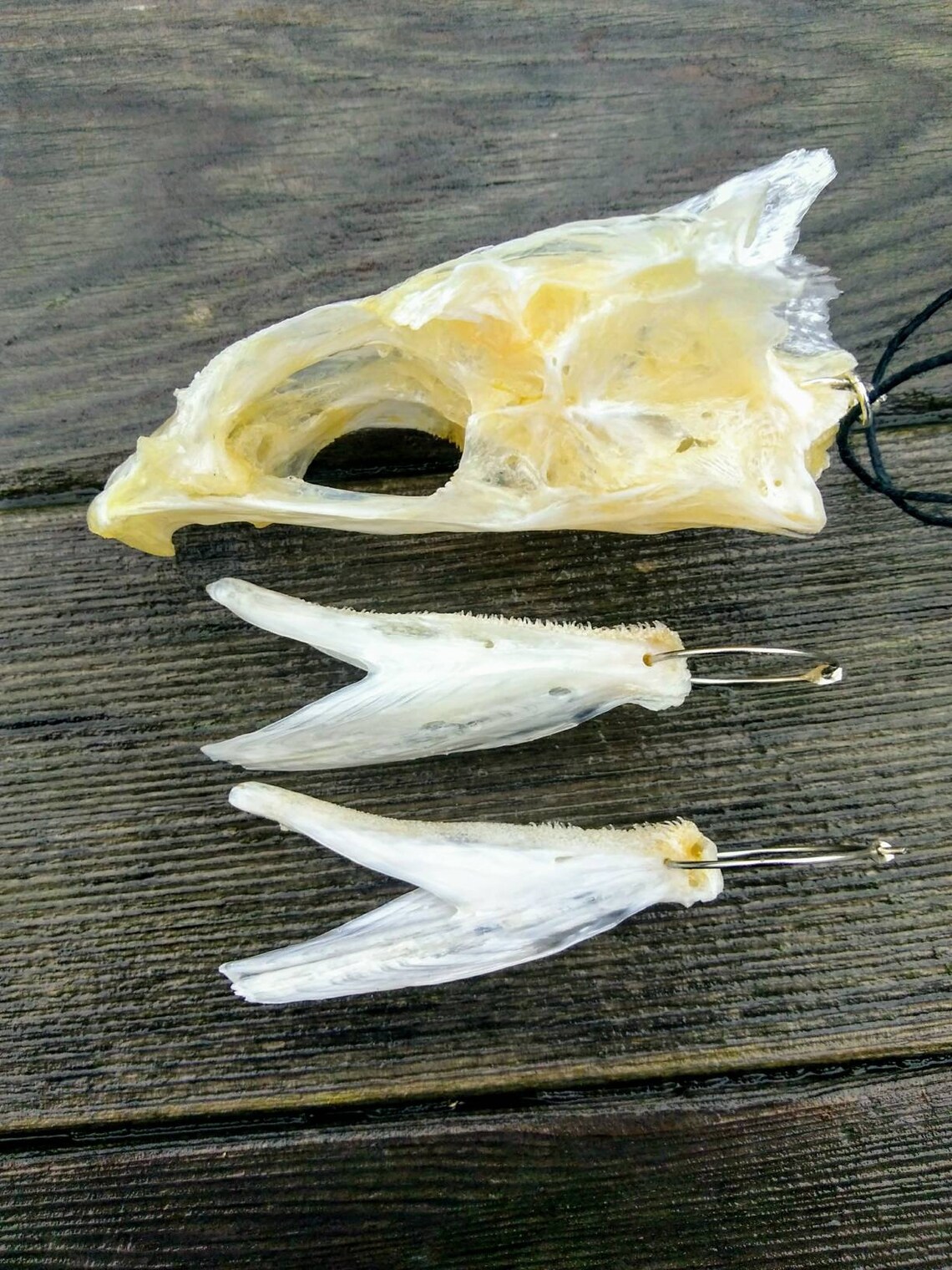 Largemouth Bass Skull Pendant on Hemp With Hoop Jawbone Earrings - Etsy