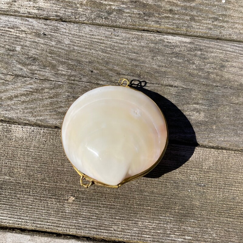 Shell Coin Purse - Etsy