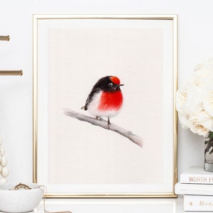 Red Capped Robin Watercolor Art Print. Beautiful Red Bird Illustration ...