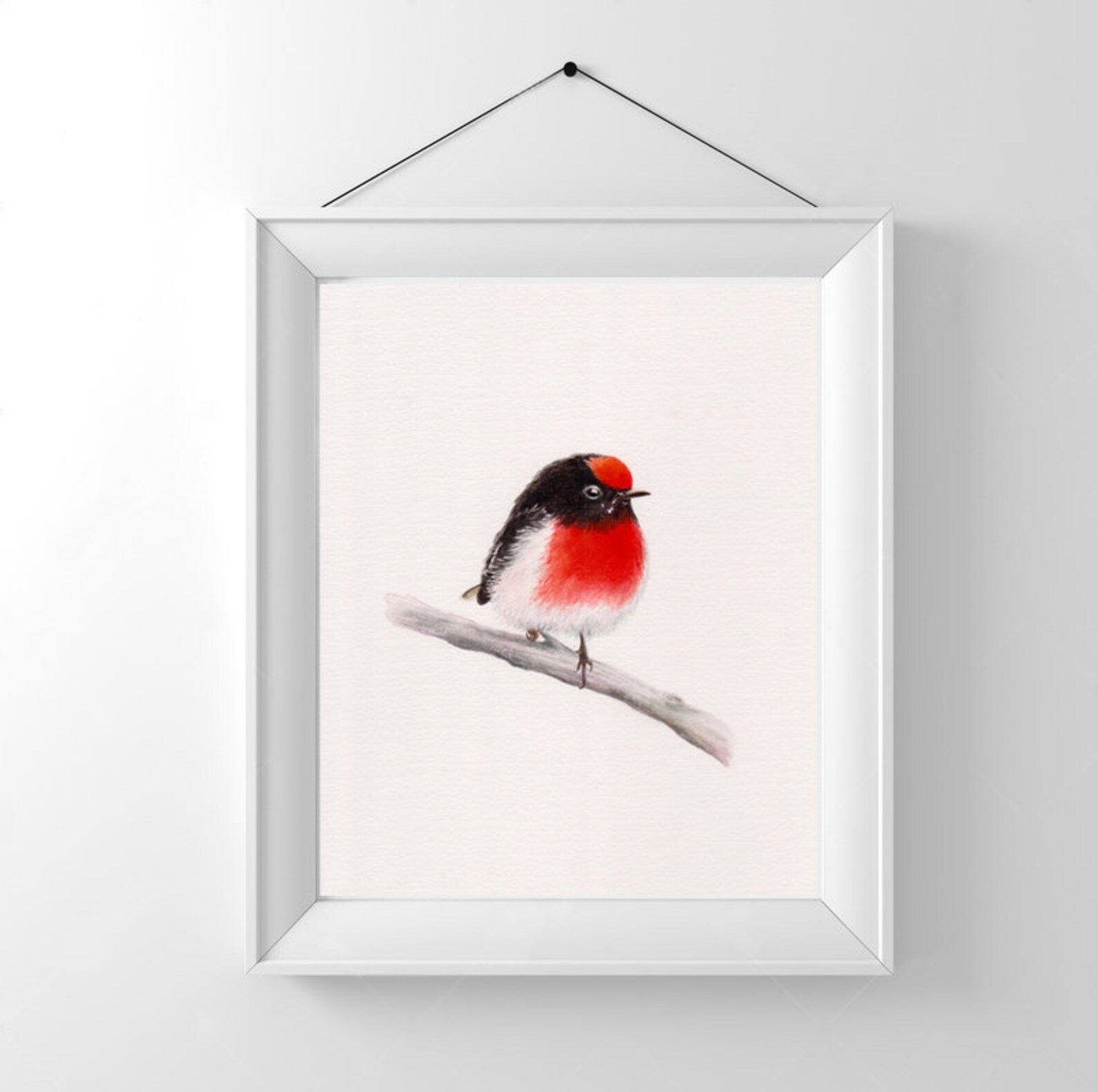 Red Capped Robin Watercolor Art Print. Beautiful Red Bird - Etsy