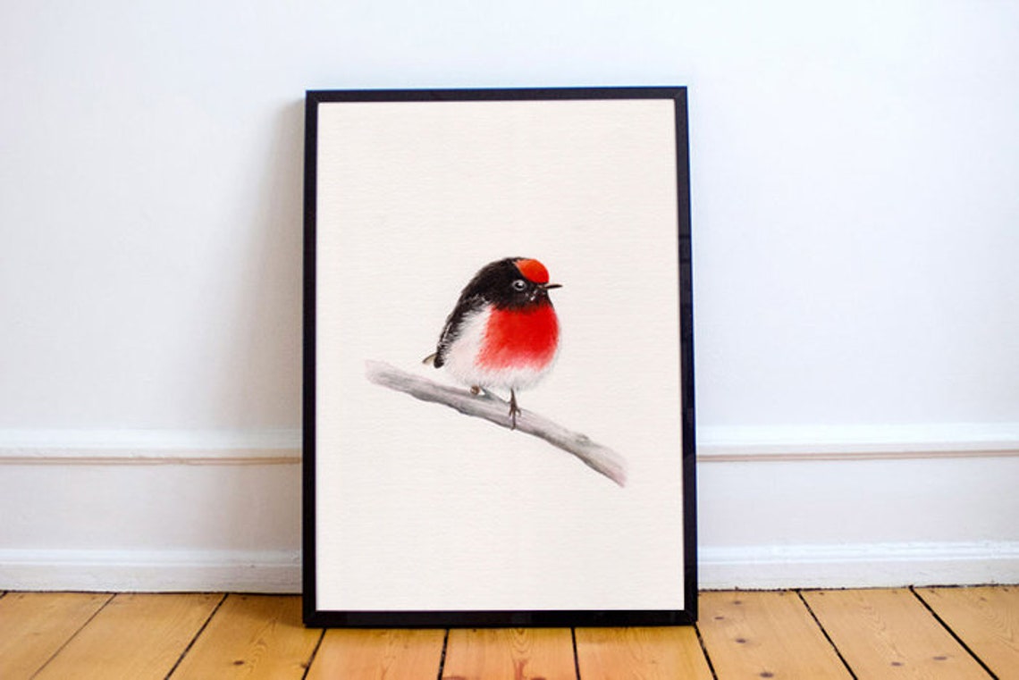 Red Capped Robin Watercolor Art Print. Beautiful Red Bird - Etsy