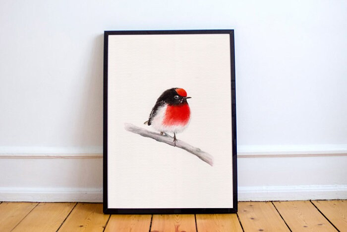 Red Capped Robin Watercolor Art Print. Beautiful Red Bird - Etsy
