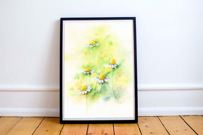 Chamomile Watercolor Art Print. Floral Theme. Garden Plant. Botanical ...