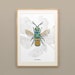 Poster Gold Wasp, Poster, A2, Decoration, Wall Design, Wall Pictures ...