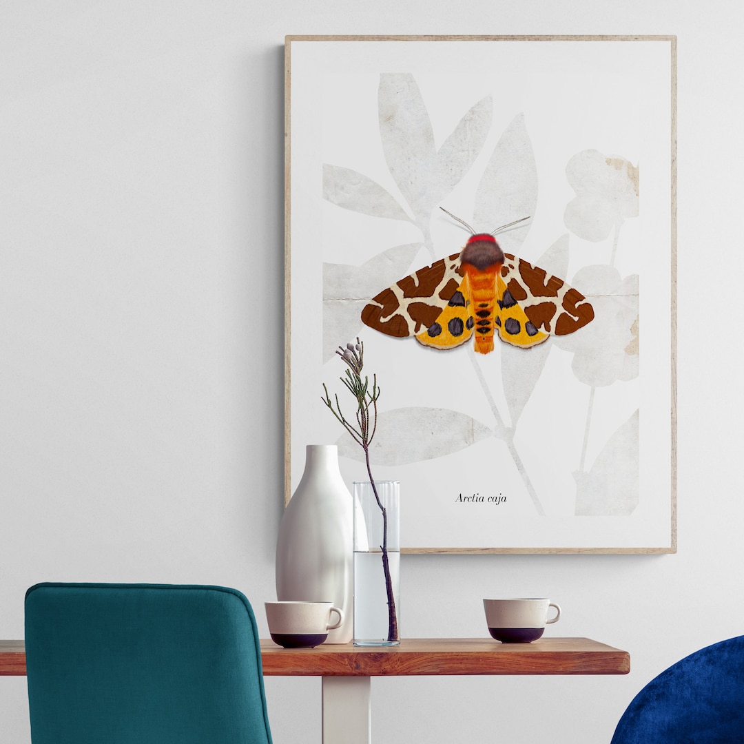 Poster - Brown Bear, Poster, A2, Decoration, Wall Design, Wall Pictures ...
