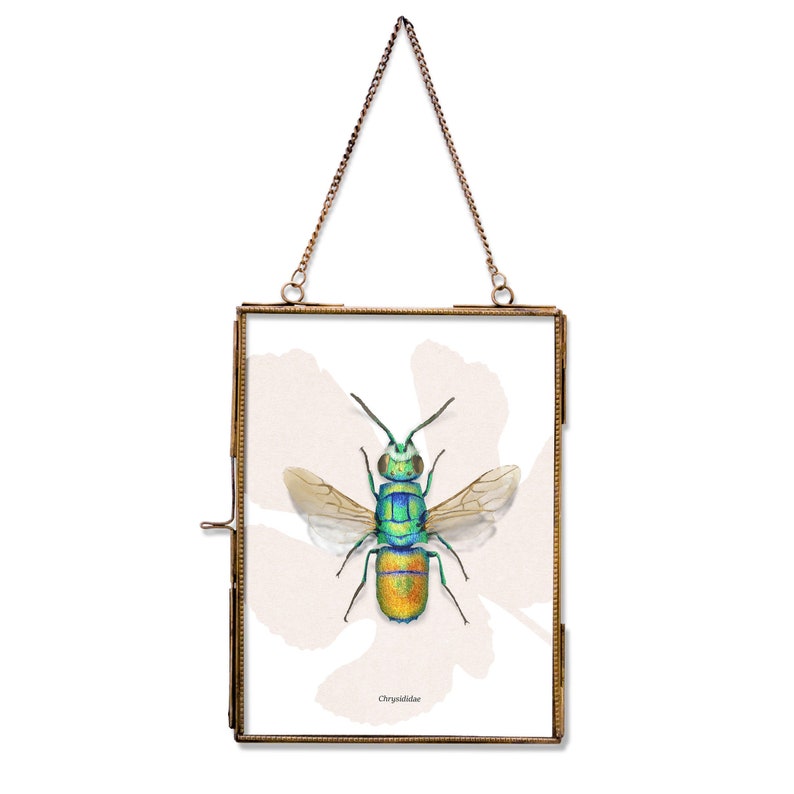 Double Glass Picture Frame Gold Wasp Vintage Photo Frame | Etsy