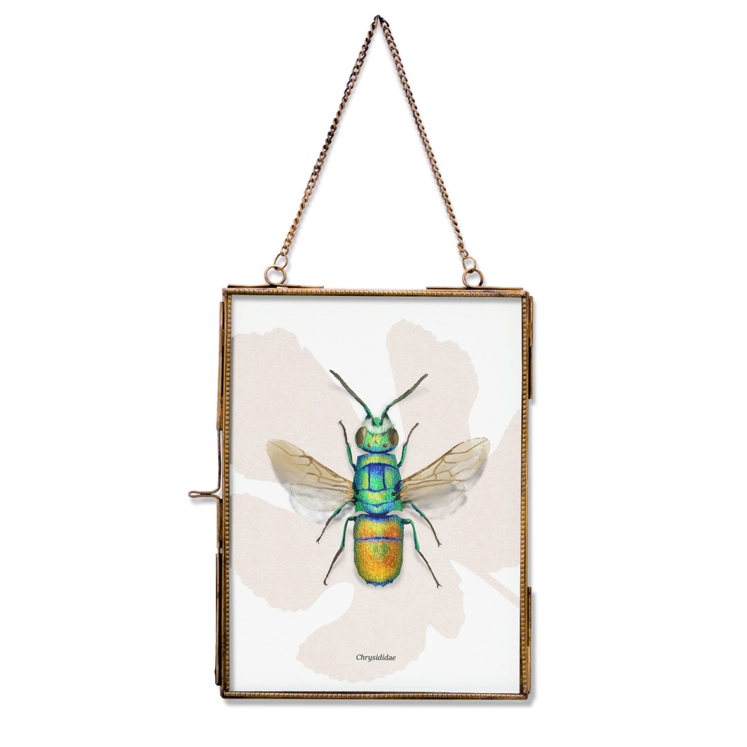 Double Glass Picture Frame Gold Wasp, Vintage Photo Frame With Chain to ...