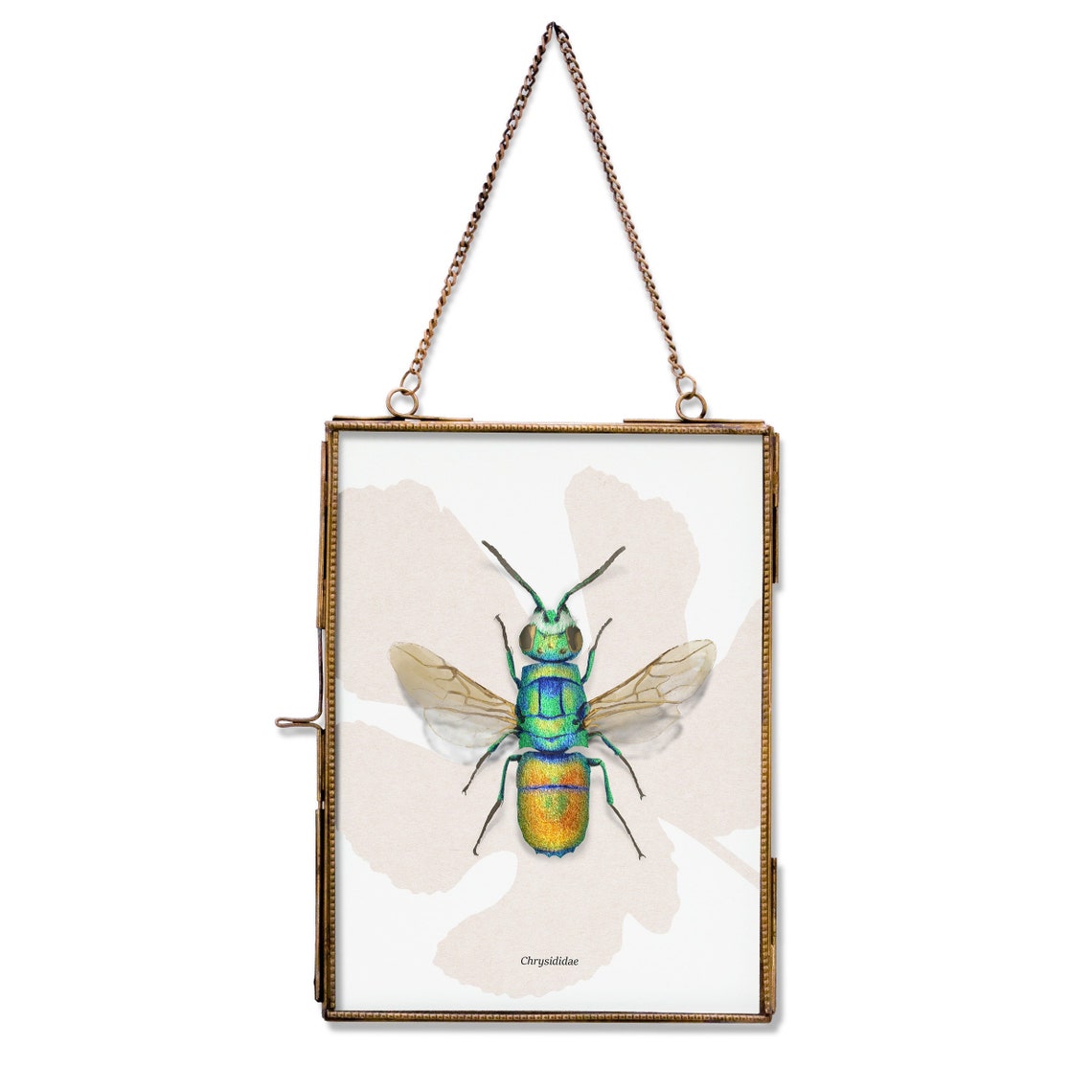 Double Glass Picture Frame Gold Wasp Vintage Photo Frame - Etsy