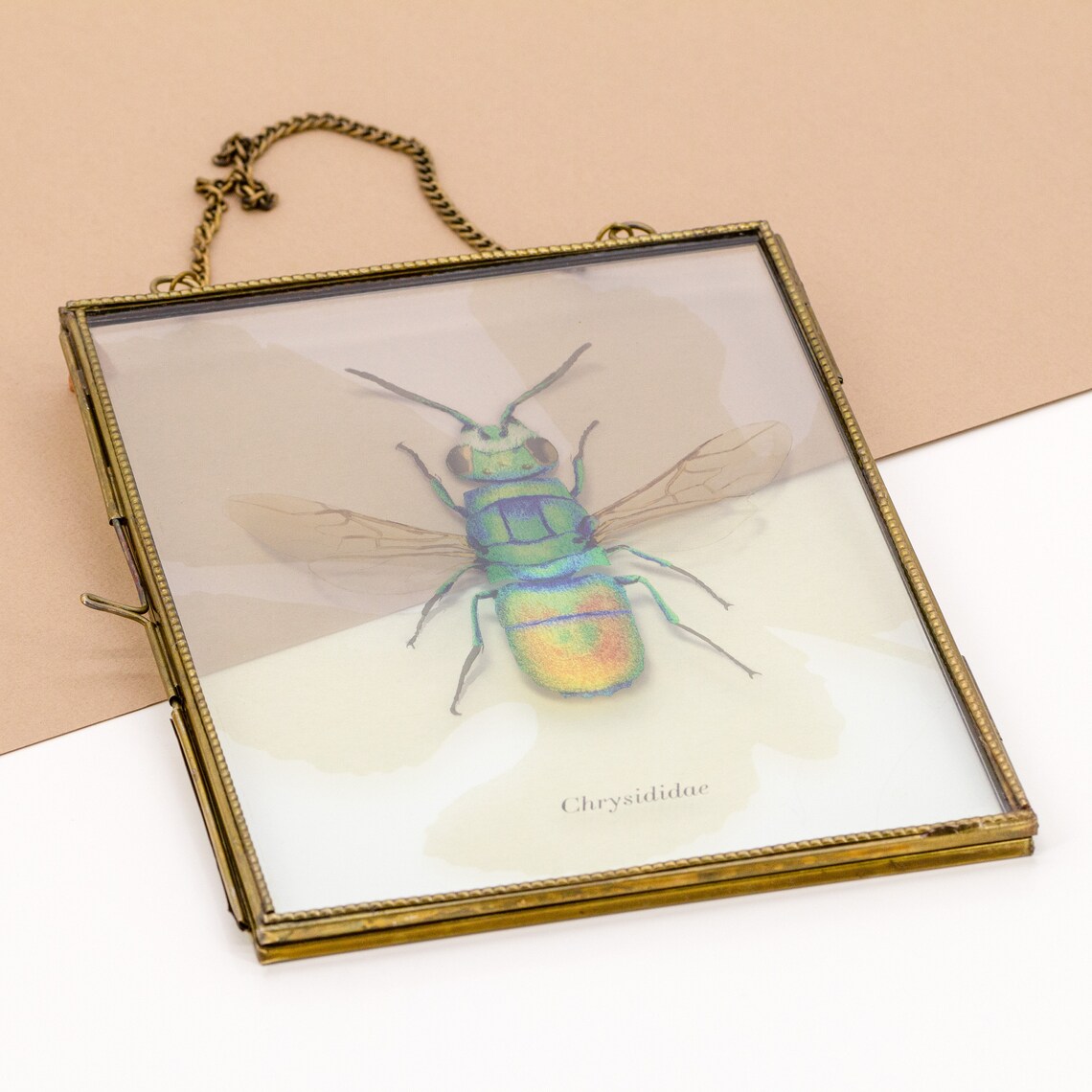 Double Glass Picture Frame Gold Wasp Vintage Photo Frame | Etsy