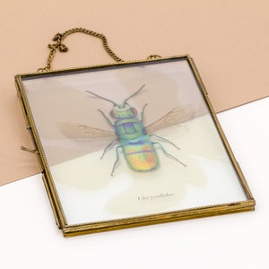 Double Glass Picture Frame Gold Wasp Vintage Photo Frame | Etsy