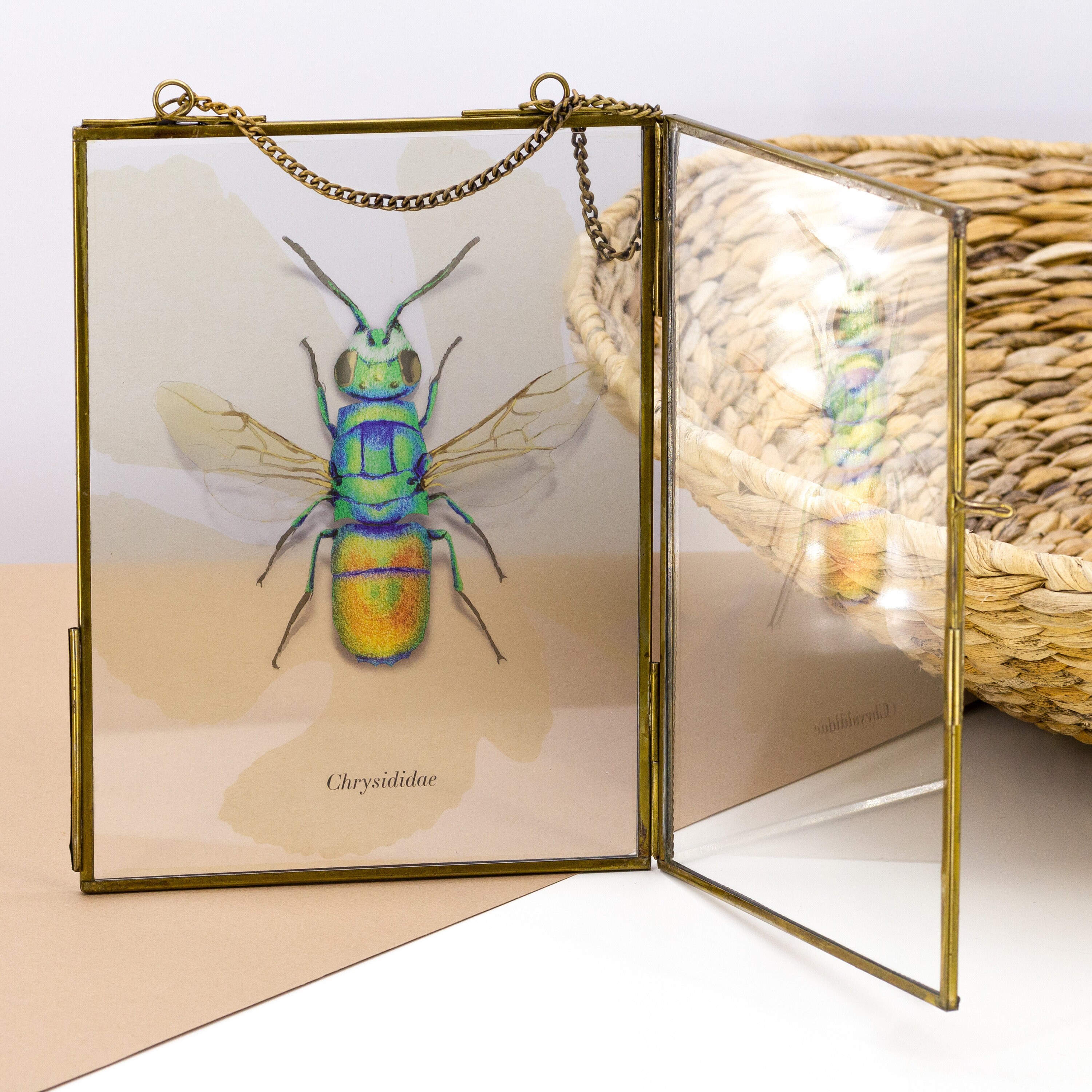 Double Glass Picture Frame Gold Wasp Vintage Photo Frame | Etsy