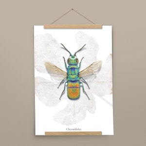 Poster - Gold Wasp, Poster, A2, Decoration, Wall Design, Wall Pictures ...