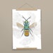 Poster Gold Wasp, Poster, A2, Decoration, Wall Design, Wall Pictures ...