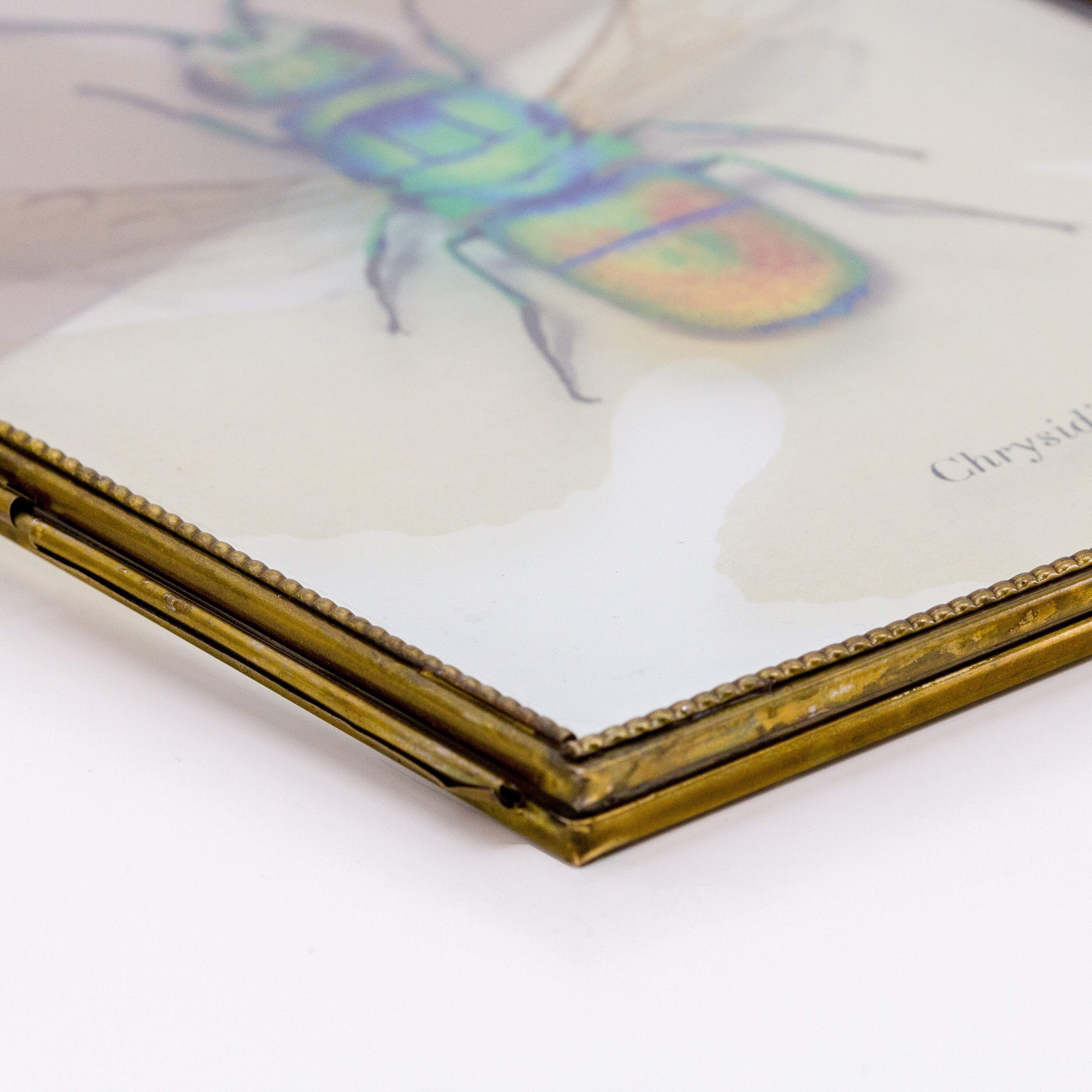 Double Glass Picture Frame Gold Wasp Vintage Photo Frame | Etsy