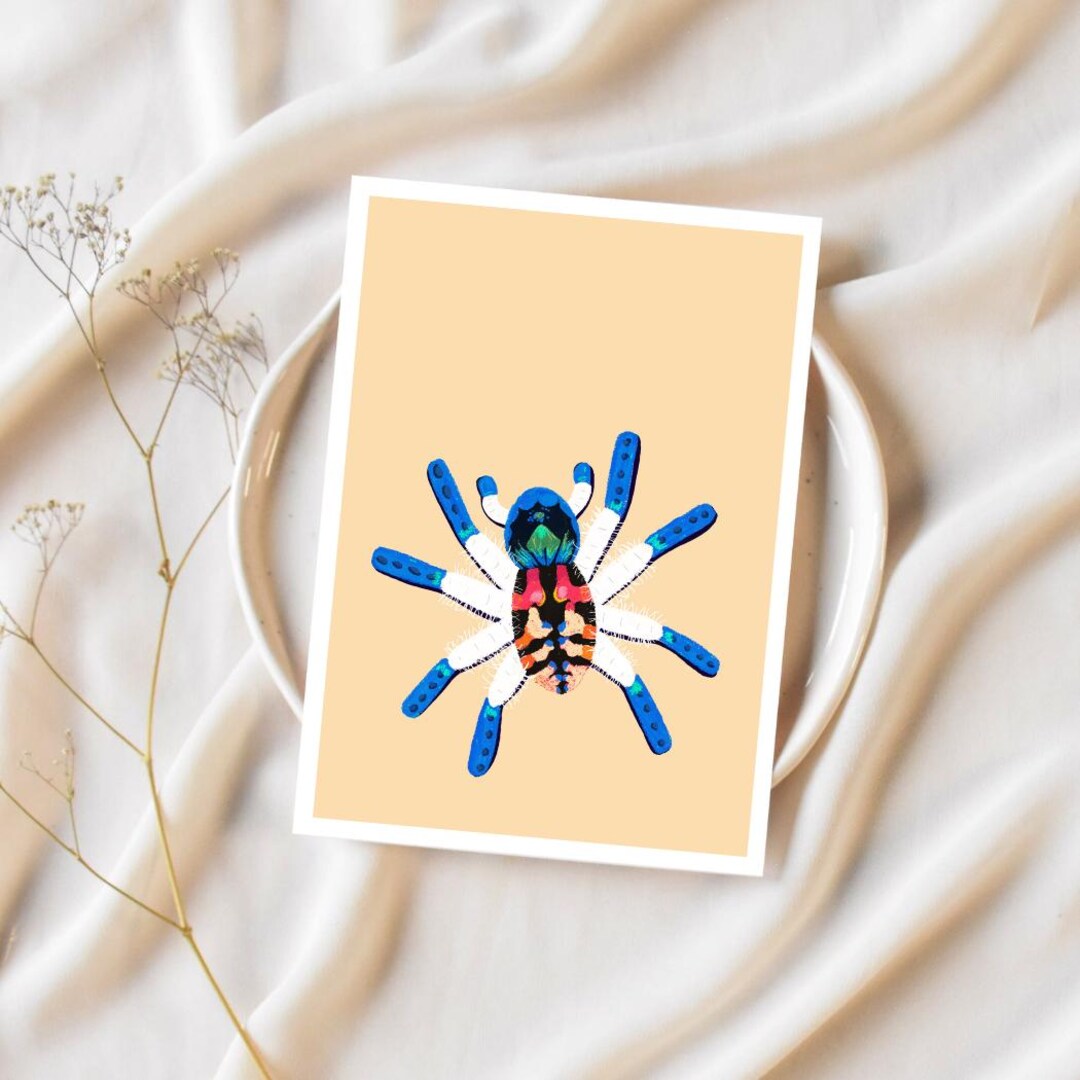 Colorful Tarantula Art Print - Spider Wall Decor - Animal Nature - Etsy