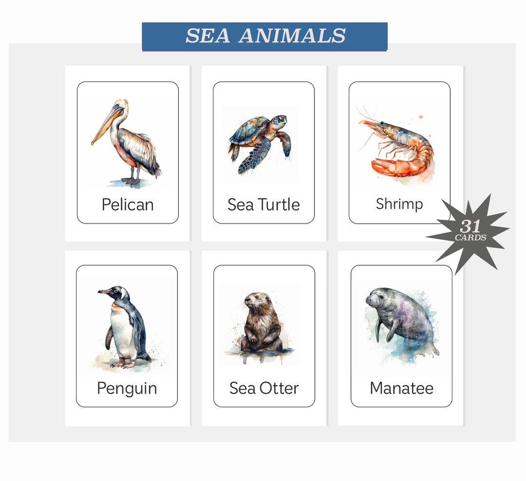 SEA ANIMALS Watercolour 31 Editable Cards Flash Cards, Montessori Flash ...