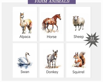 FARM ANIMALS • Editable Montessori Cards • Flash Cards Nomenclature ...