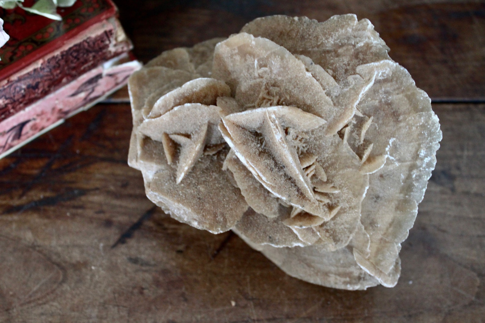 Large Desert Sand Rose Rock Rose Stone French Cabinet of - Etsy