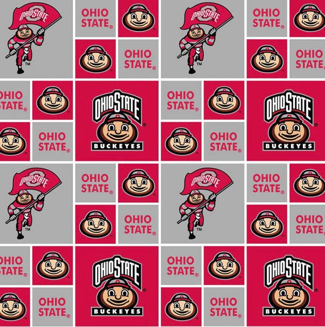 Ohio State University NCAA Fabric Box Logo Pattern 021 44 - Etsy