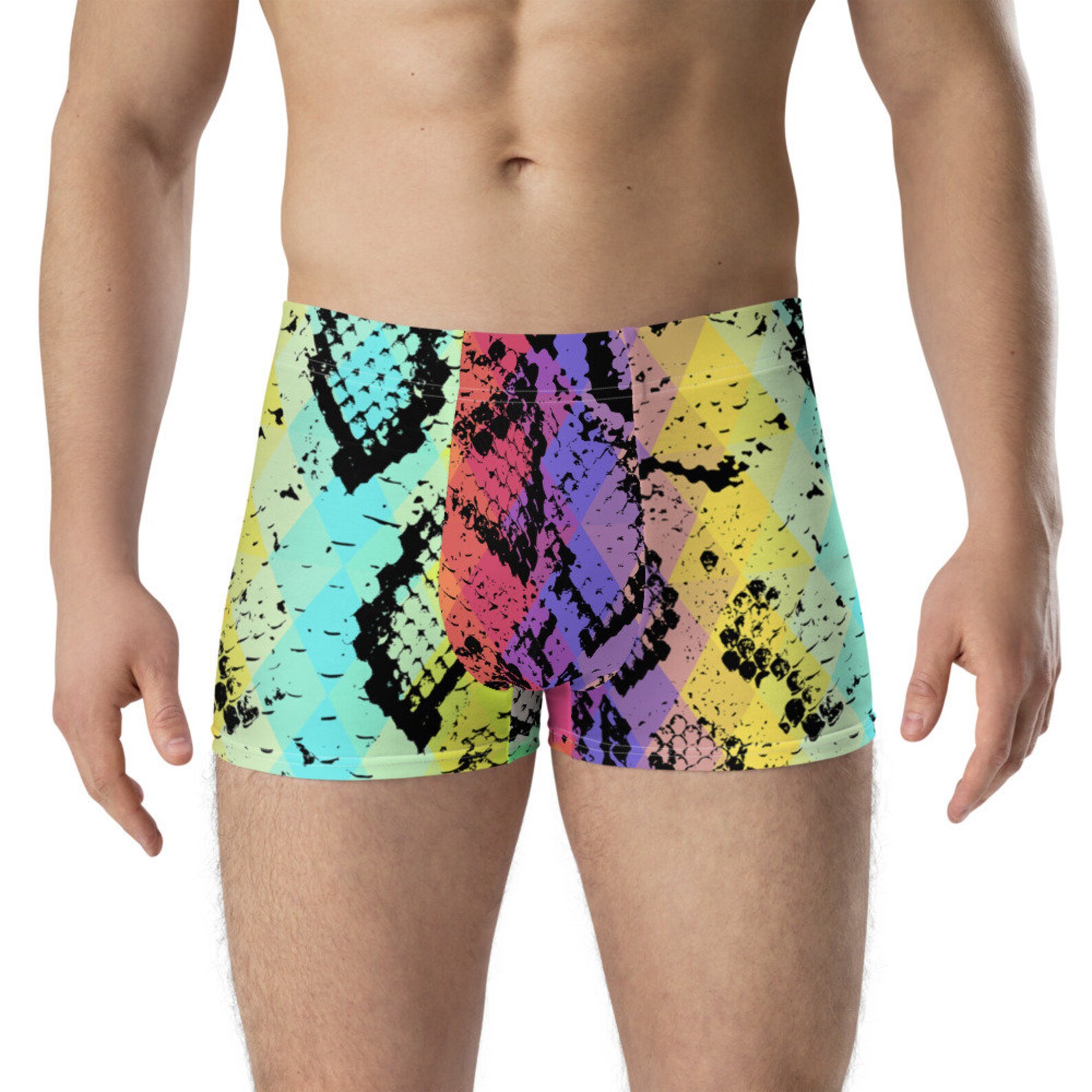 Rainbow Snake Skin Men's Boxer Briefs - Etsy