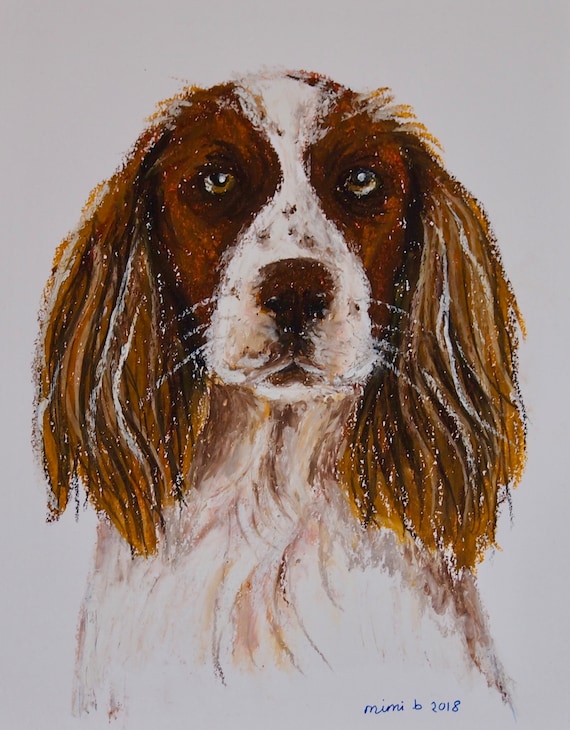Oil Pastel Drawing of a Welsh Springer Spaniel - Etsy