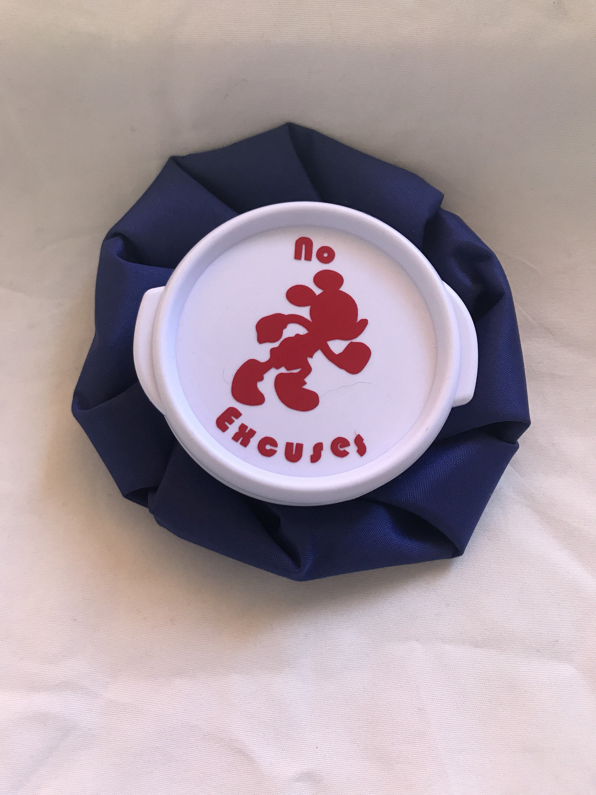 Reusable Ice Pack/ Run Disney/ Fish Extender Gifts/fe - Etsy