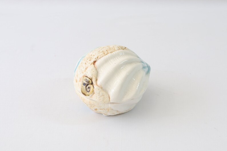 Clam Jewelry Box Ceramic Clam Shell Clam Shell Clam Shell - Etsy