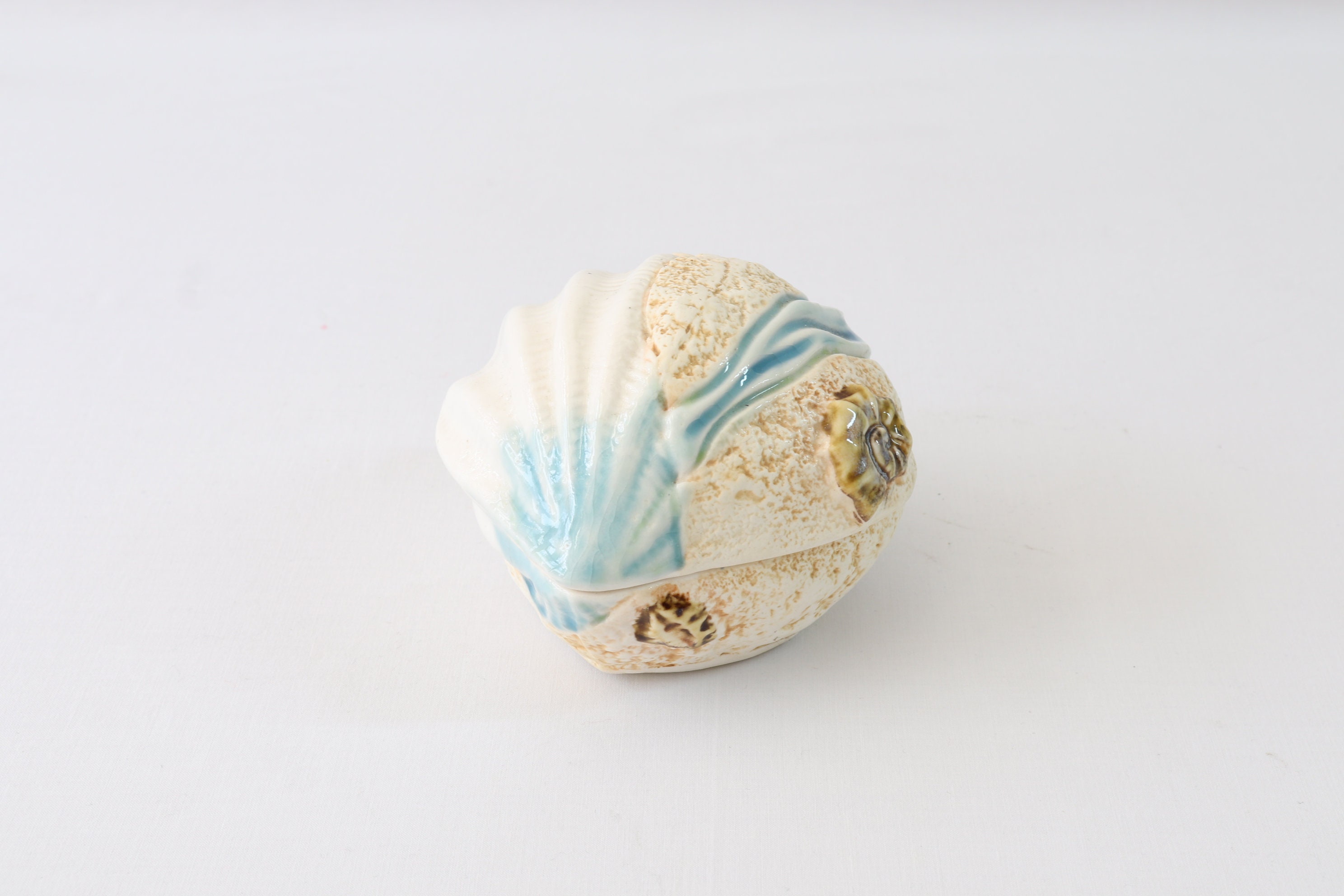 Clam Jewelry Box Ceramic Clam Shell Clam Shell Clam Shell - Etsy