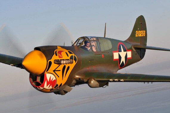 2 Wwii Flying Tigers P40 Warhawk Nose Art Decals Tigers