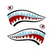 Flying Tigers Shark Mouth Decal - P-40 Warhawk Warbird Nose Art ...