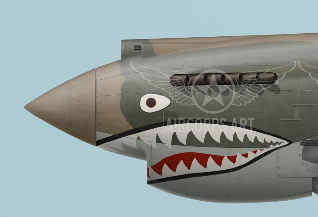 P41 Tiger Shark Decal