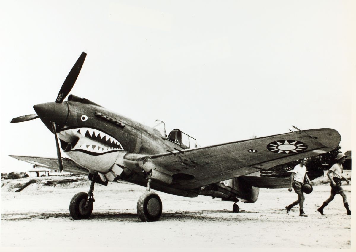 P41 Tiger Shark Decal