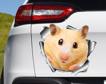 Car bumper sticker | Etsy