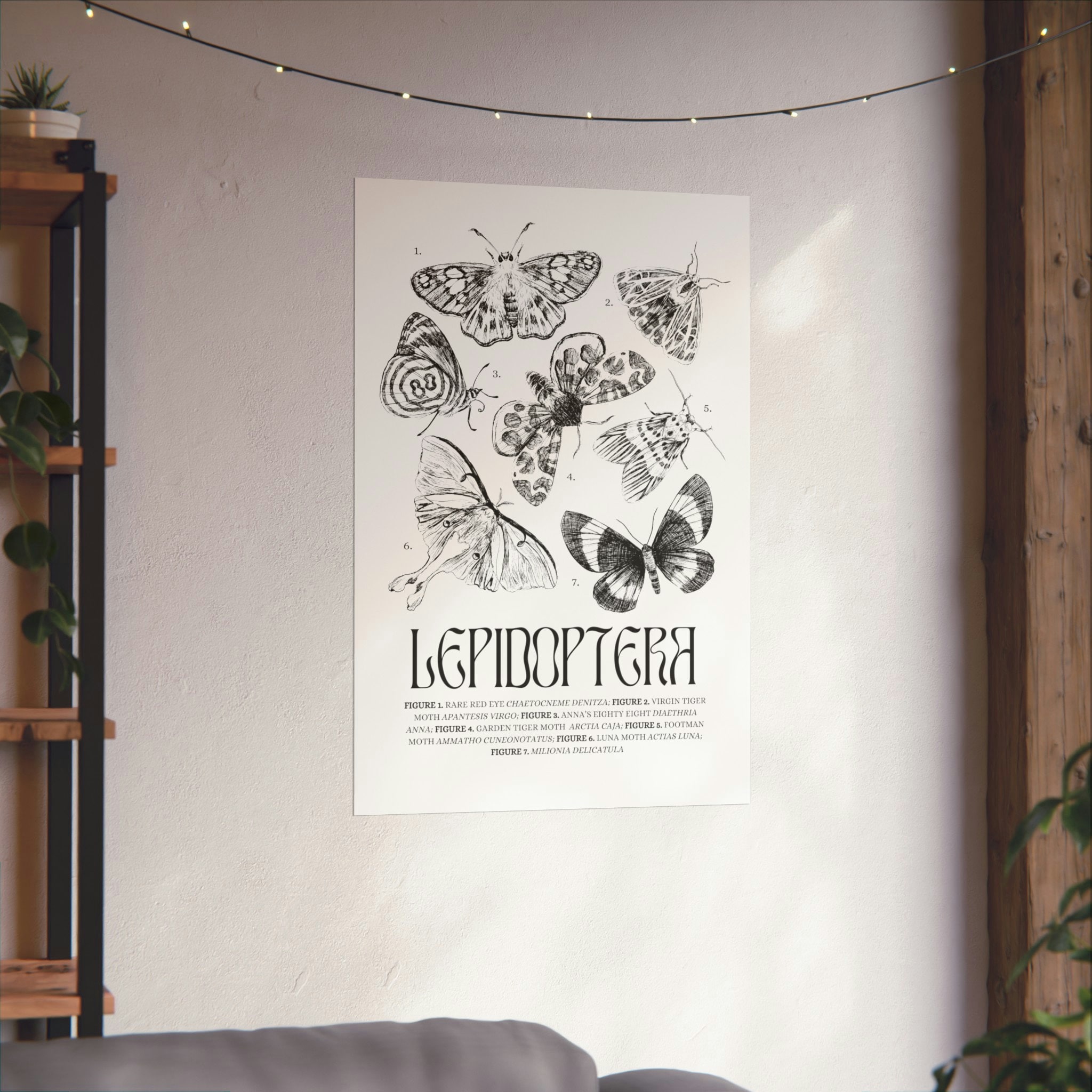 Moth and Butterfly Poster, Lepidoptera Poster, Insect Poster - Etsy