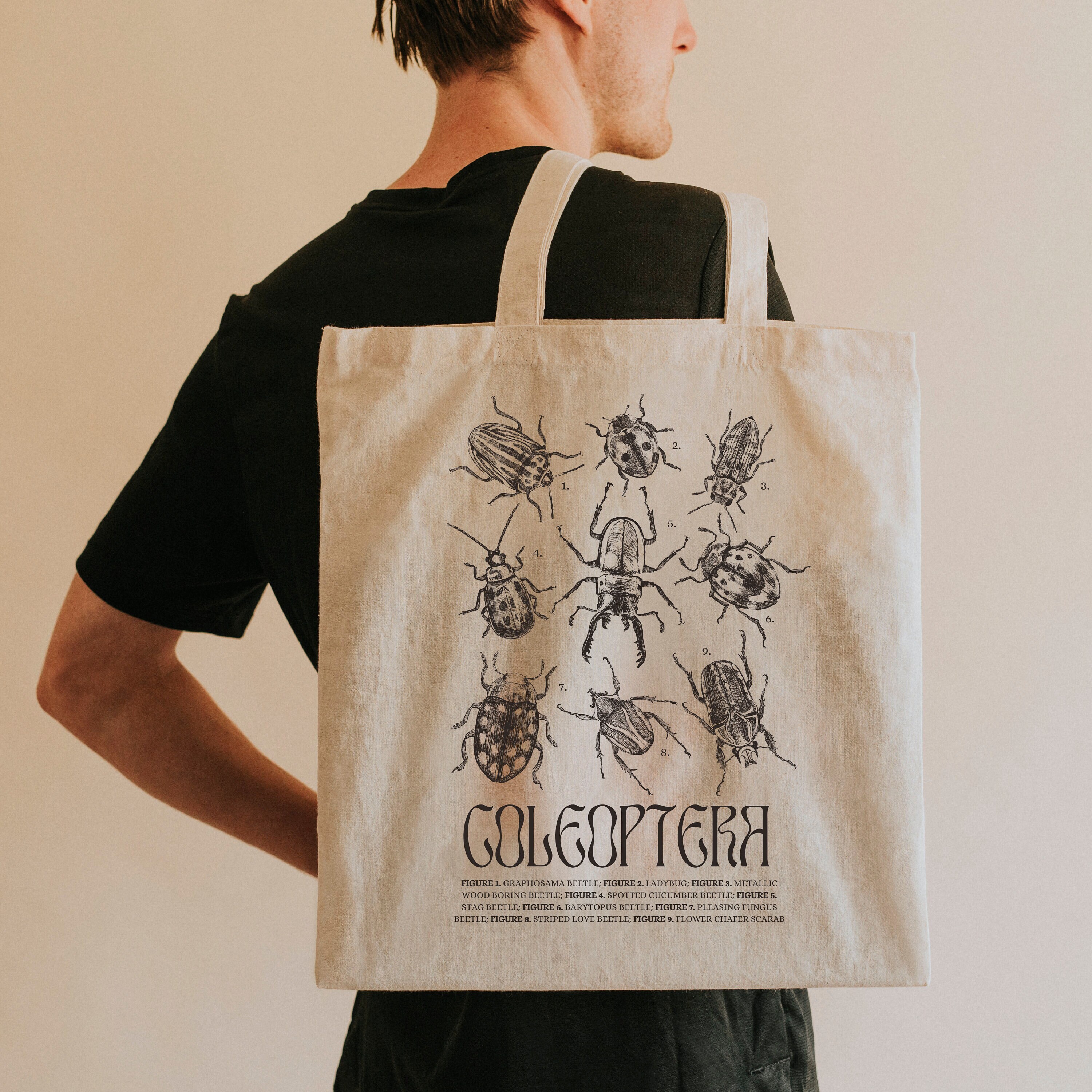 Beetle Canvas Tote Bag, Coleoptera Display Tote Bag, Insect Gift Bag ...