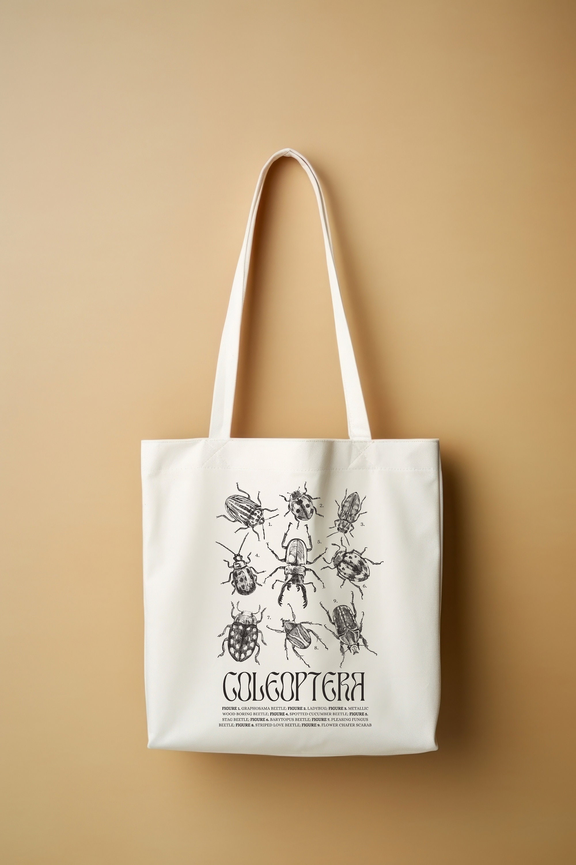 Beetle Canvas Tote Bag, Coleoptera Display Tote Bag, Insect Gift Bag ...