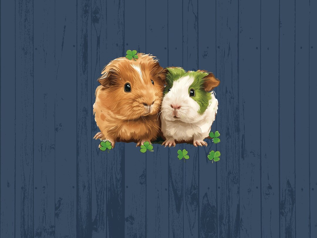 Irish Guinea Pigs Pet Lover Ireland St Patricks Day Lucky St Paddys ...