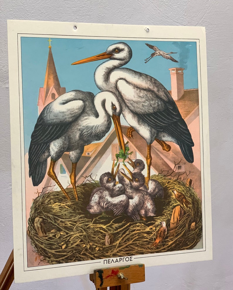Vintage Storks School Chart: Original Cardboard Nursery Print - Etsy