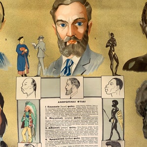 Human Races Chart, Anthropology Print, Ethnology Chart, Human School ...