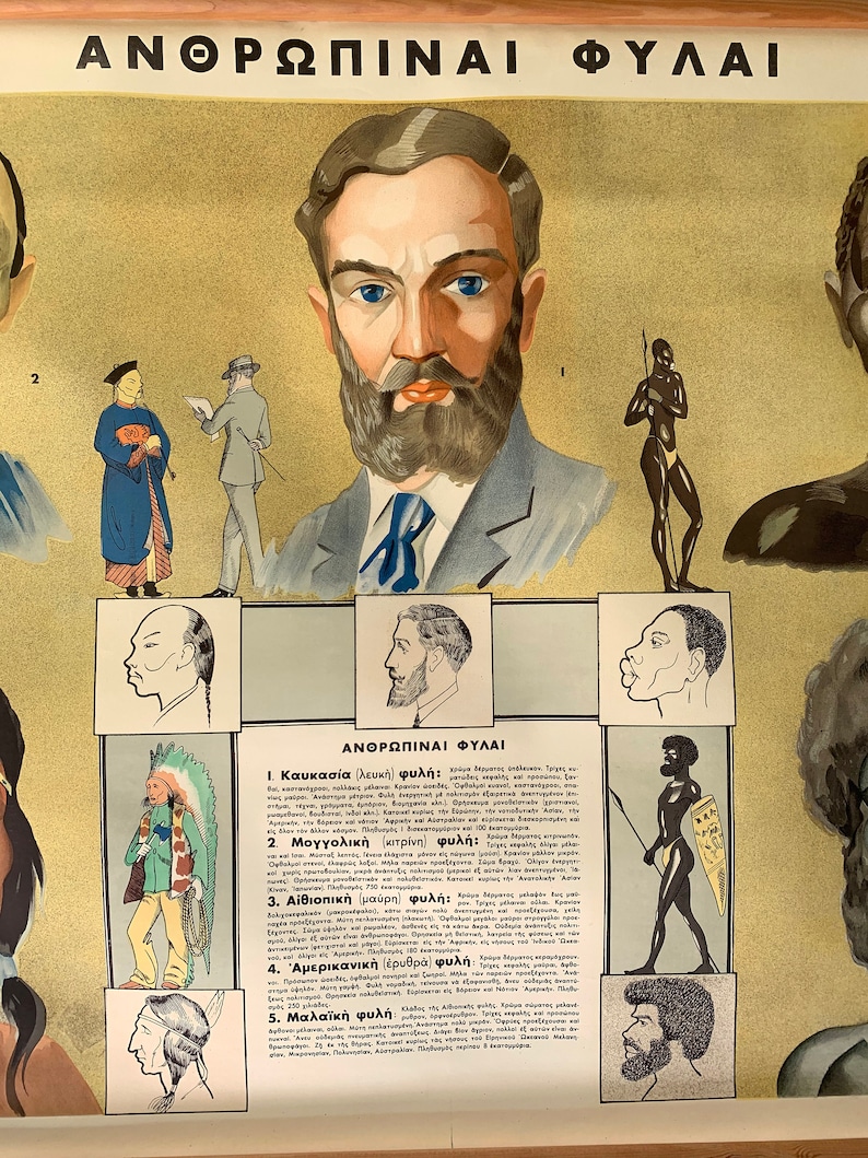 Human Races Chart Anthropology Print Ethnology Chart Human - Etsy