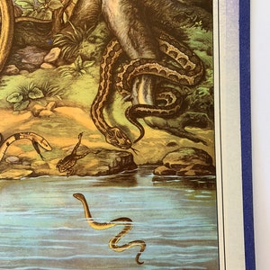 Snakes School Print N.O.S, Original Cardboard School Chart, Vintage ...