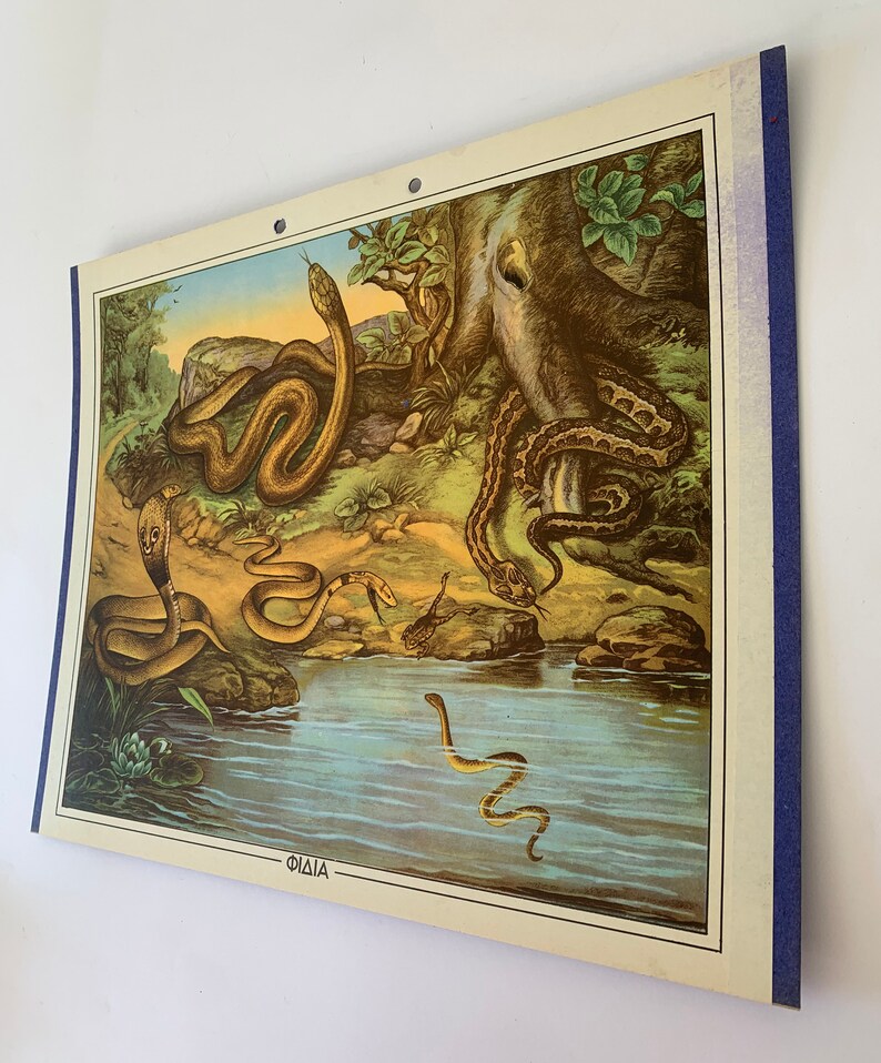 Snakes School Print N.O.S Original Cardboard School Chart - Etsy