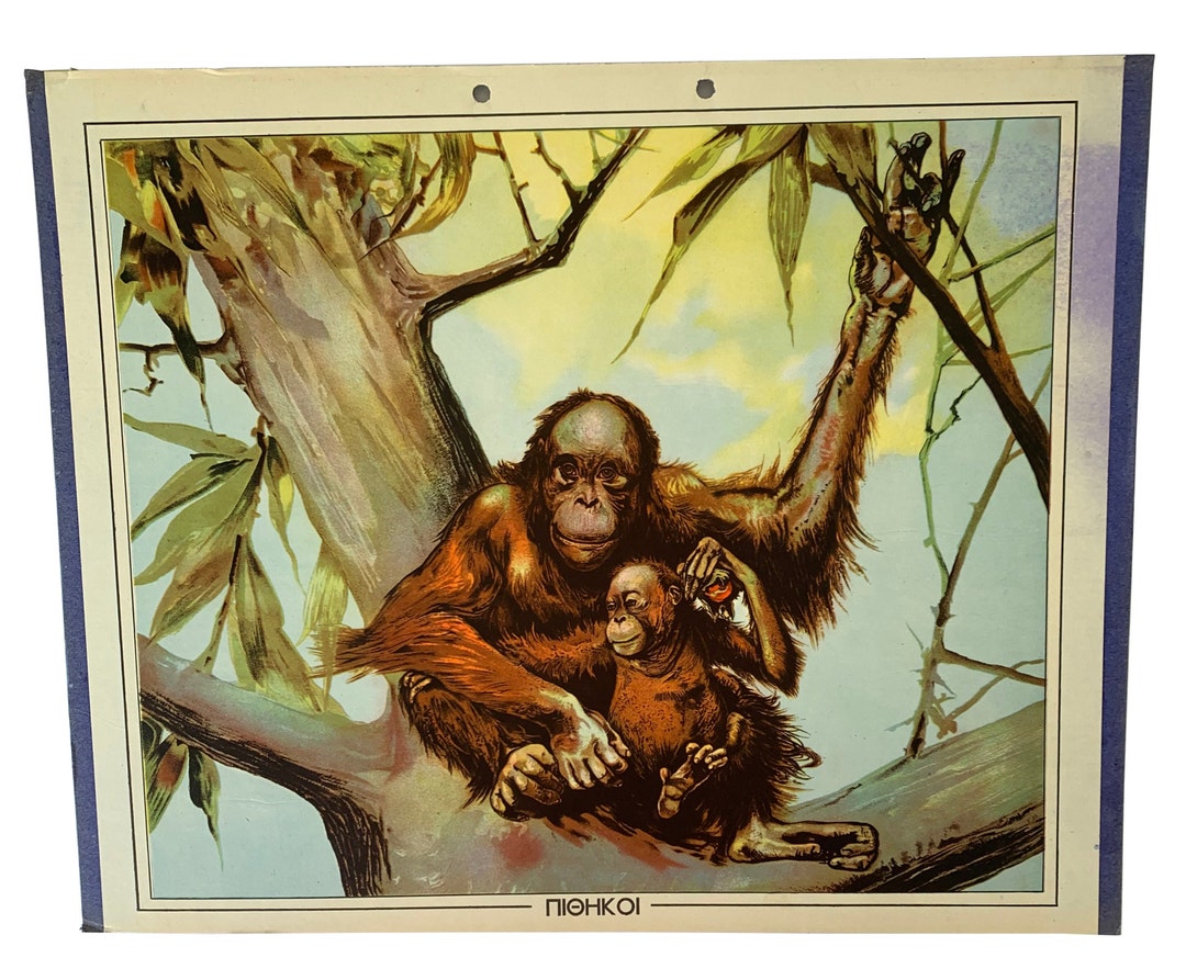 Vintage Monkeys School Chart: Original Cardboard Print, Kids Room Decor ...