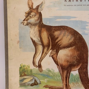 Kangaroo School Print, Original Cardboard School Chart, Vintage ...