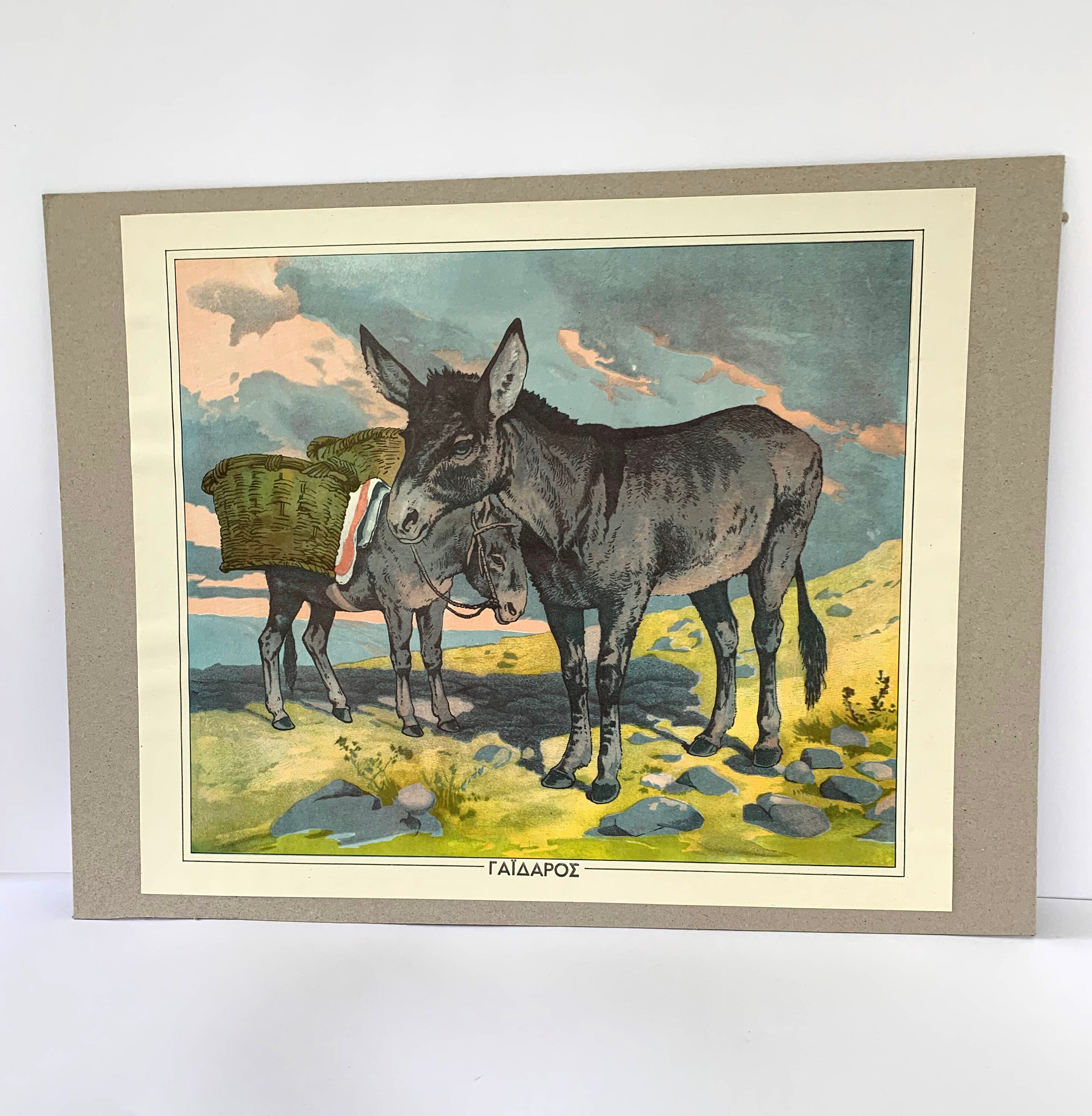Vintage Donkey School Chart: Original Cardboard Print, Kids Room Decor ...