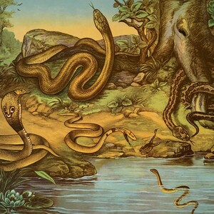 Snakes School Print N.O.S, Original Cardboard School Chart, Vintage ...